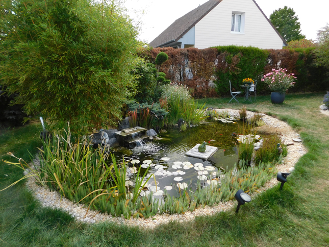 Bassins - SARL Pierre Geeraerts - Paysagiste dans la Marne