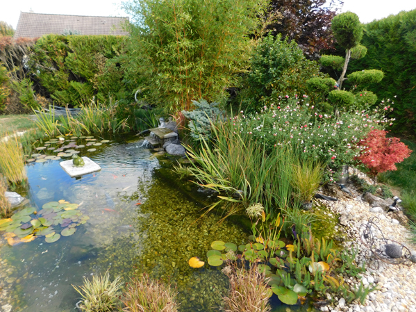 Bassins - SARL Pierre Geeraerts - Paysagiste dans la Marne